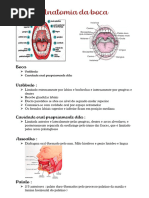 Histologia da Cavidade Oral: Estruturas e Funções | PDF | Língua | Boca