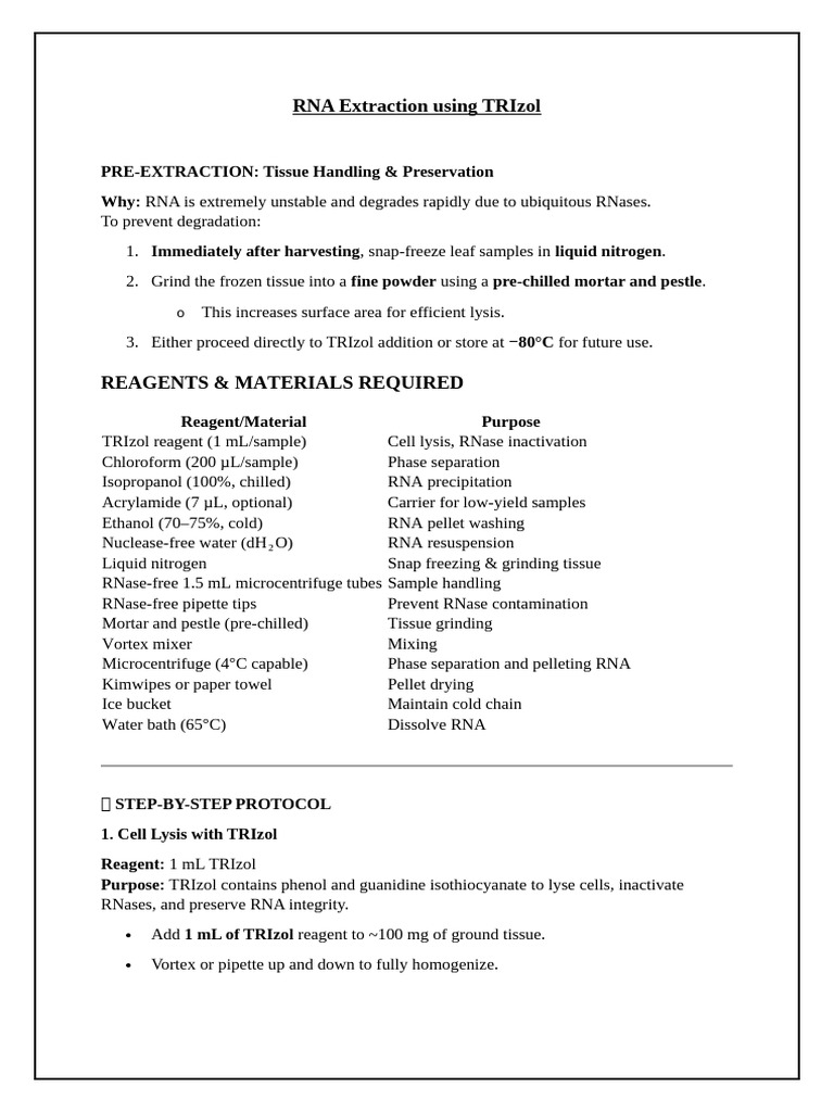RNA extraction protocol by TRIzol | PDF | Precipitation (Chemistry) | Lysis