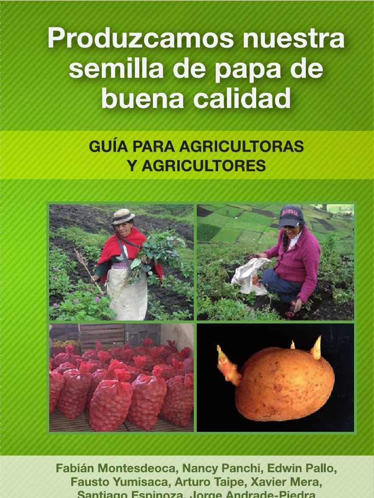 Produzcamos Nuestra Semilla de Papa de Buena Calidad - Guía para ...