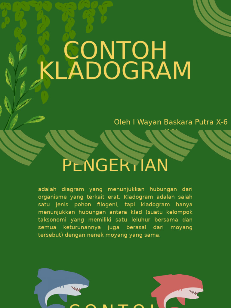 Contoh Kladogram | PDF