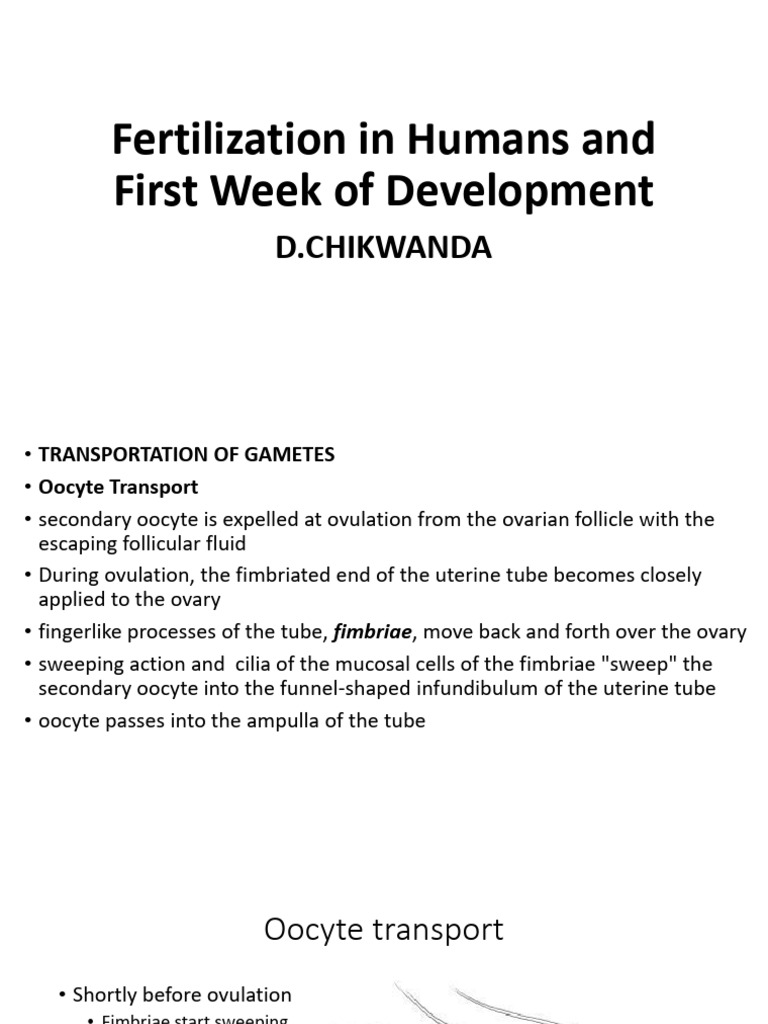 Fertilisation in Humans and 1st Week of Development | PDF ...