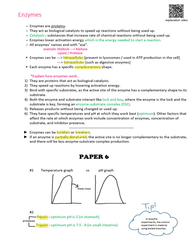 IGCSE Cambridge Biology 0610 OL Chapter 5 Enzymes | PDF | Enzyme ...