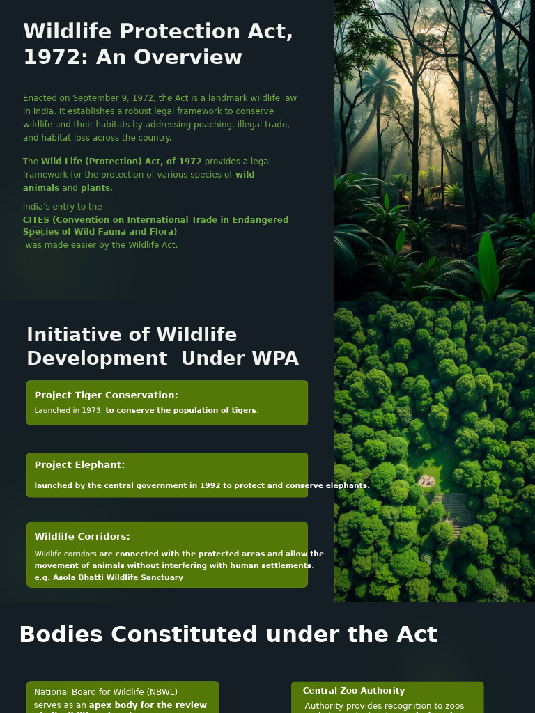 Overview of India's Wildlife Protection Act | PDF | Natural Environment ...