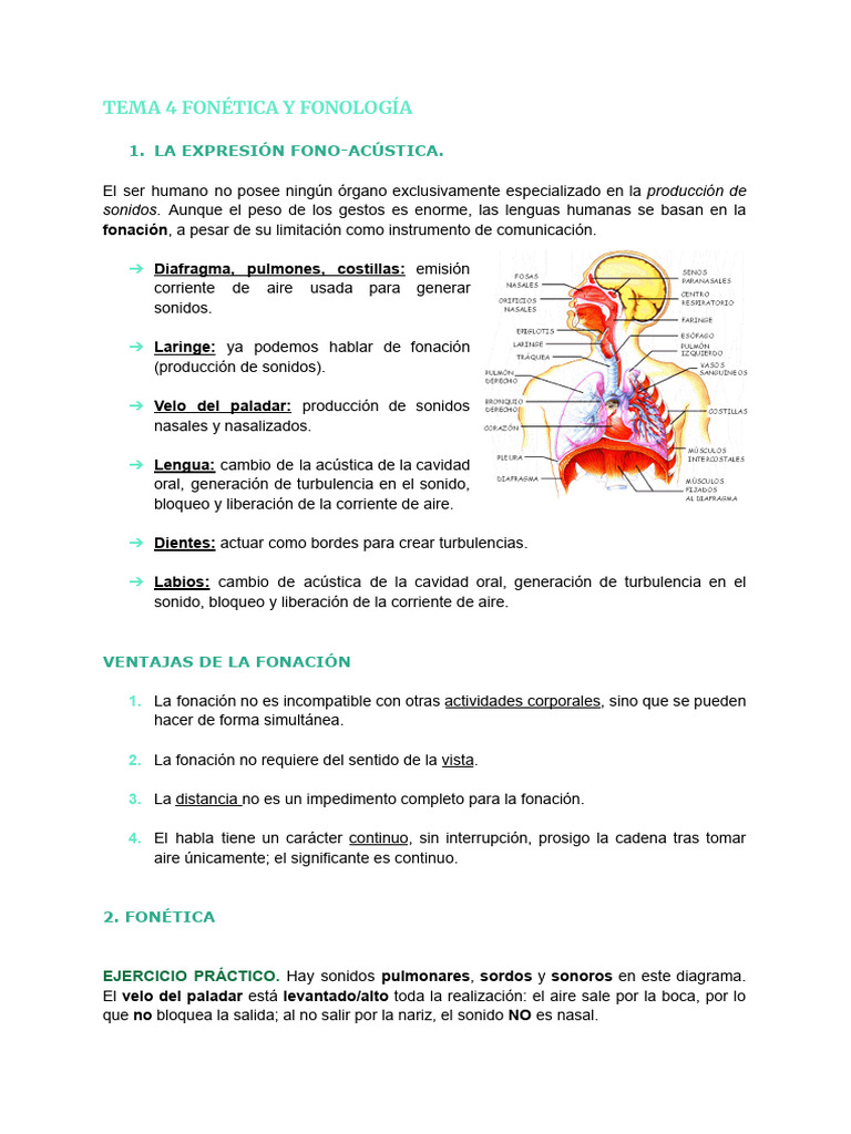 Fonética y Fonología: Sonidos del Español | PDF | Vocal | Fonética