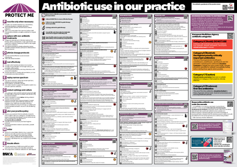 BSAVA SAMsoc Protectmeposter 011123web | PDF | Infection | Sepsis