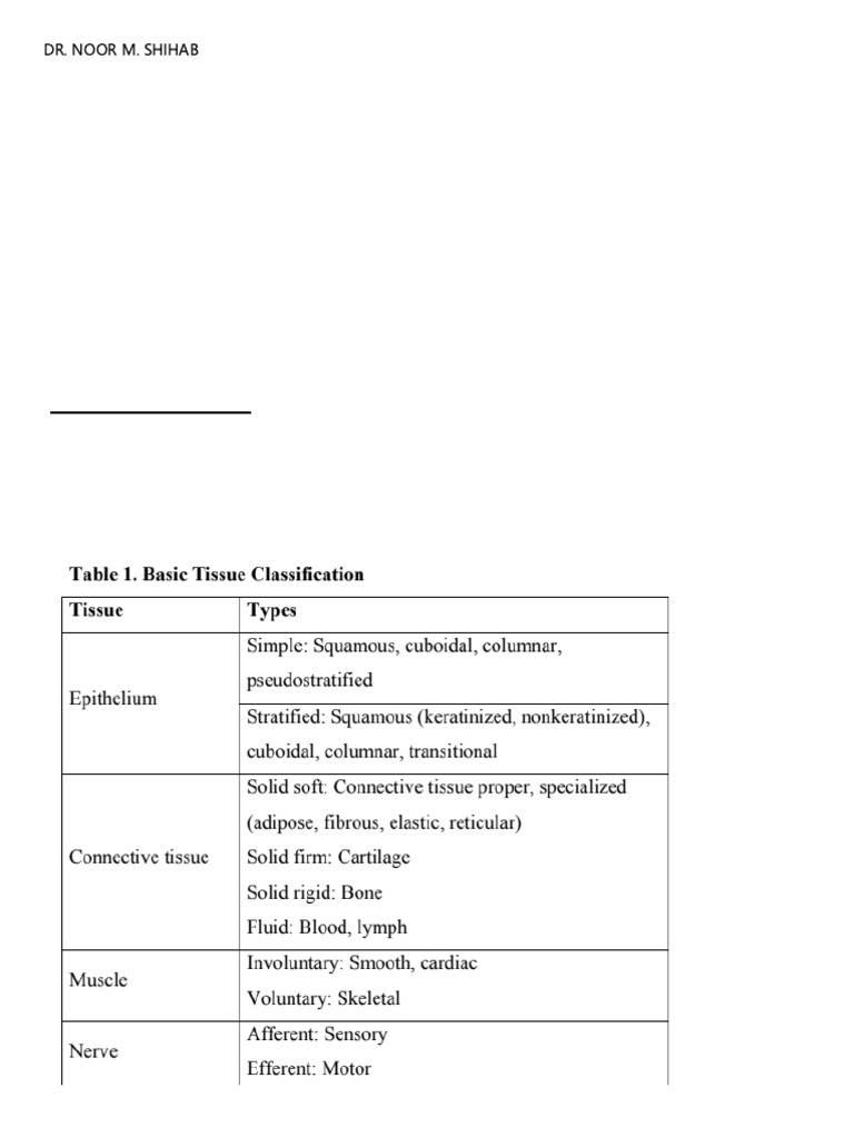 Lec. 2 G. Histo | PDF | Epithelium | Tissue (Biology)