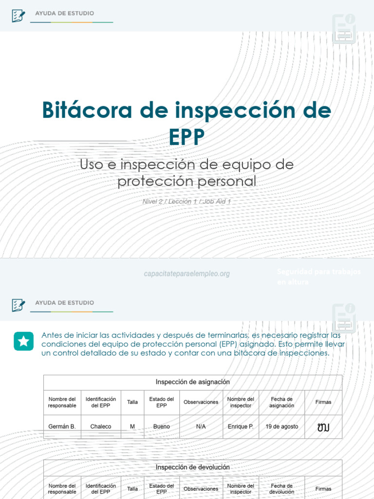 Bitácora de Inspección de EPP | PDF