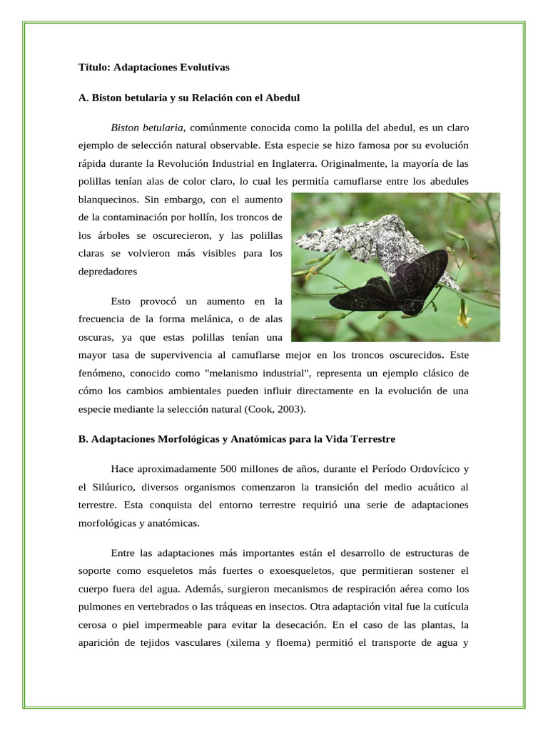 Biston Betularia | PDF