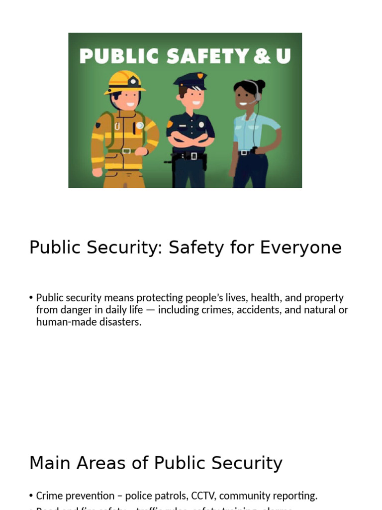 Public Security | PDF