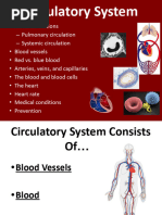 Overview of the Circulatory System | PDF | Blood Vessel | Heart