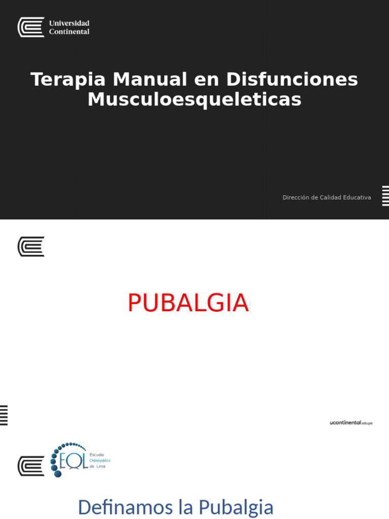 Clase 13 Pubalgia | PDF