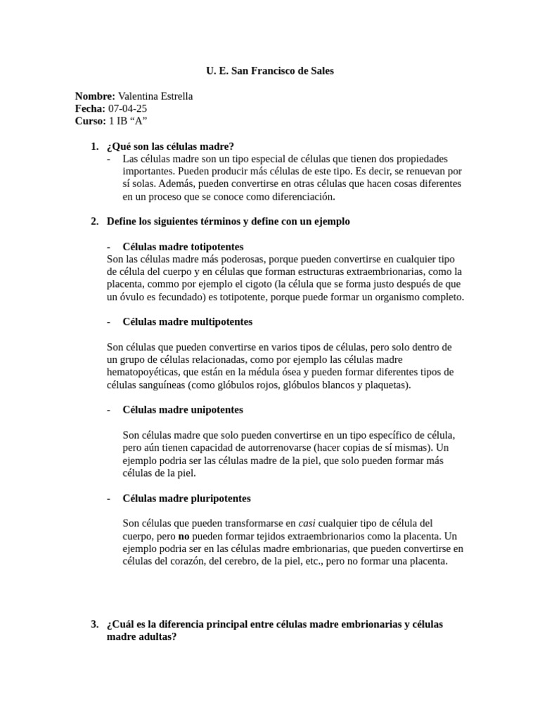Taller Sobre Las Celulas Madres | PDF | Célula madre | Diferenciación ...
