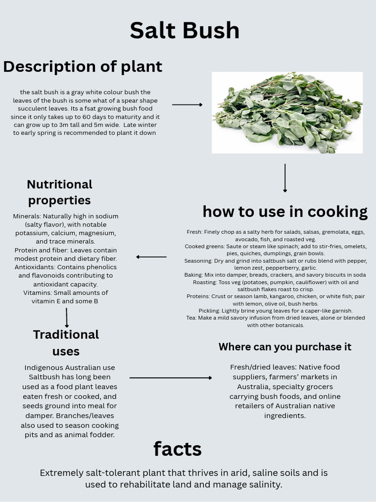 Salt Bush | PDF | Foods | Salt