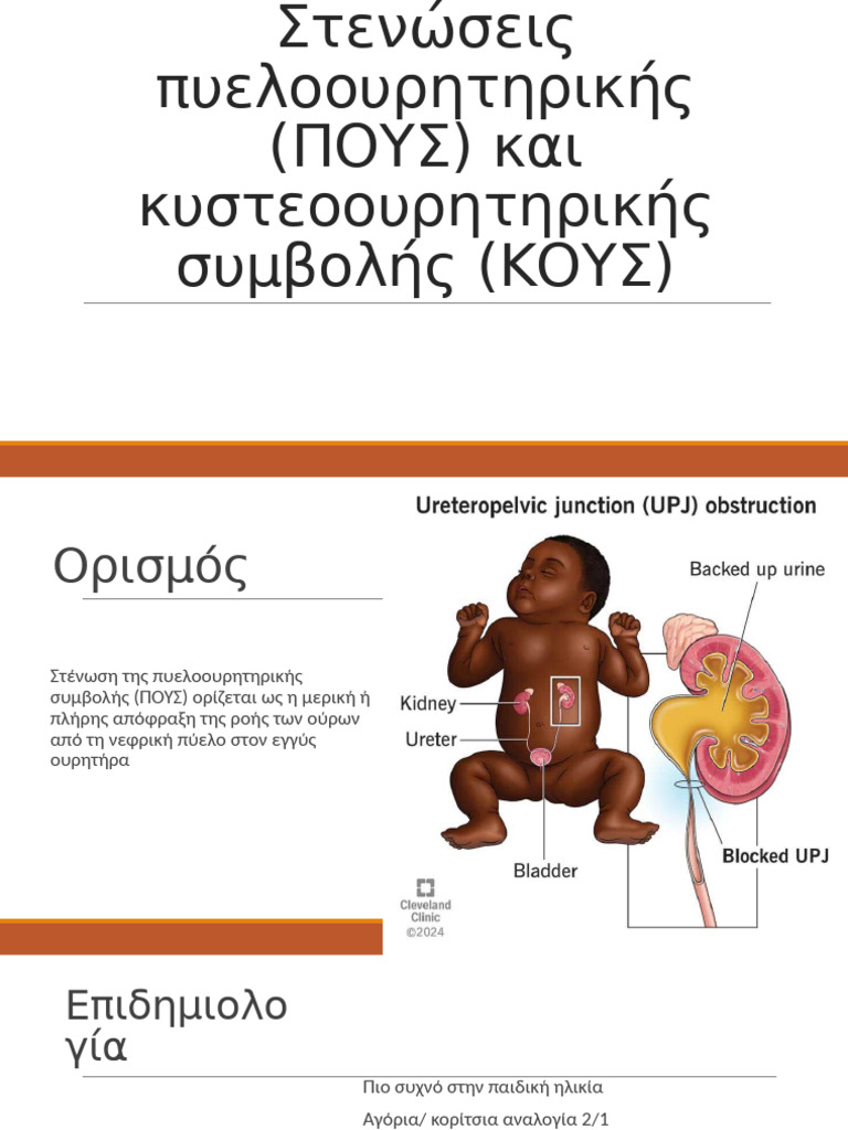 UPJ και VUJ | PDF