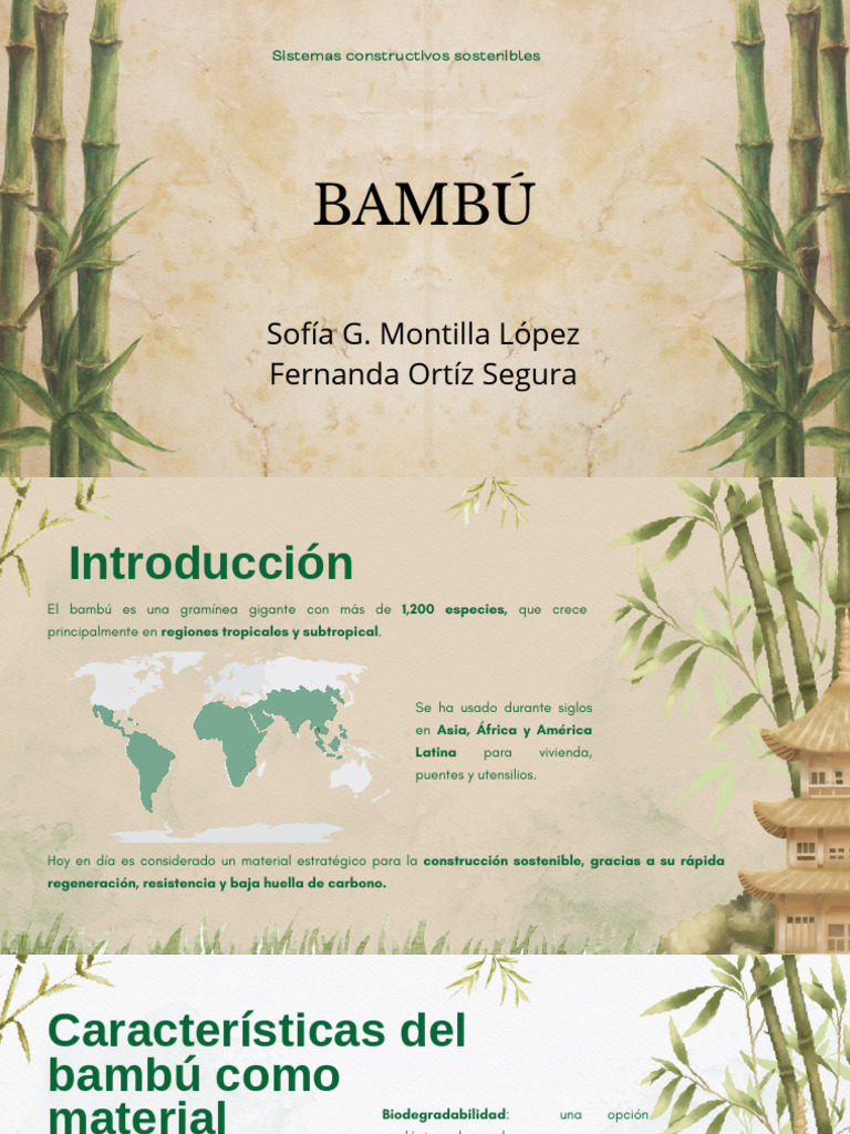Bambú: Material Sostenible en Construcción | PDF | Sustentabilidad