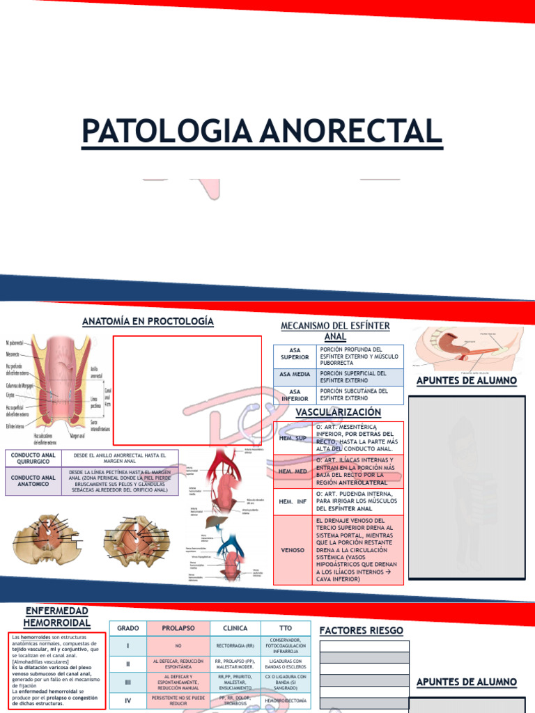 Anatomía y Tratamientos en Patología Anorrectal | PDF | Hemorroides ...