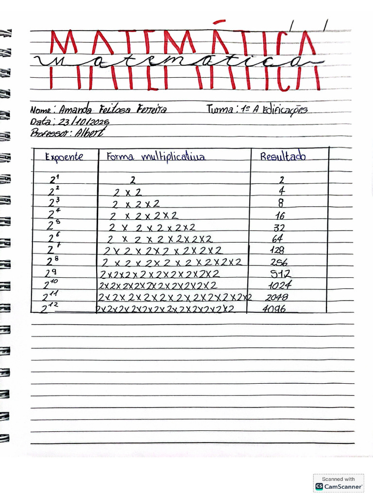 Amanda Feito Ferreira Atividade 1 Ponto | PDF