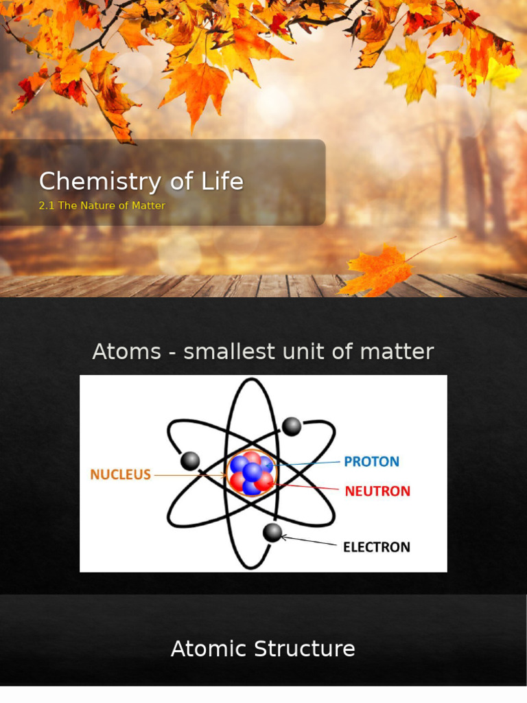Chemistry of Life: Matter and Bonds | PDF | Carbohydrates | Ion