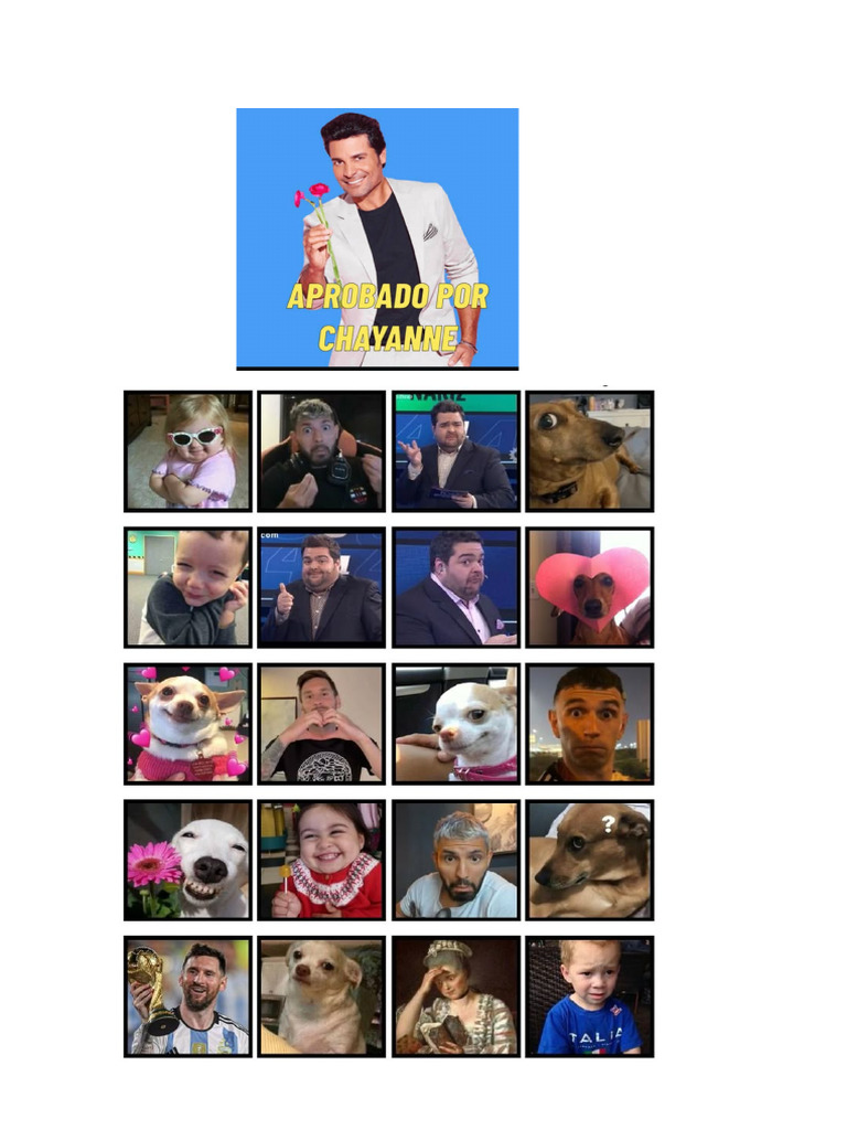 Meme | PDF
