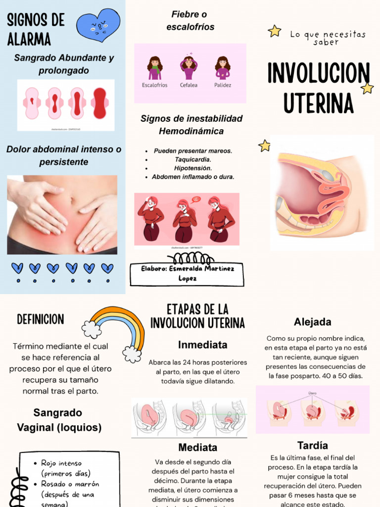 Triptico de Involucion Uterina | PDF