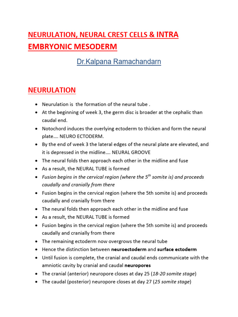 Notes - Neurulation, IE Mesoderm DR - Kalpana | PDF | Developmental ...