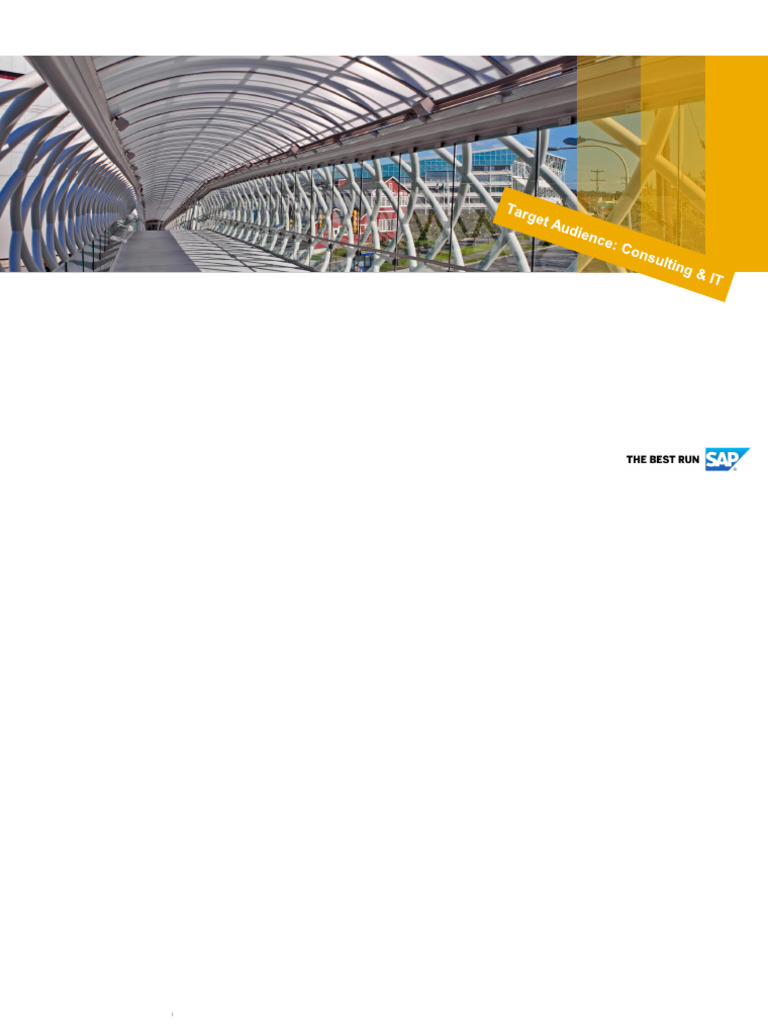SAP IBP Excel Add-In Performance Guide | PDF | Microsoft Excel | Databases
