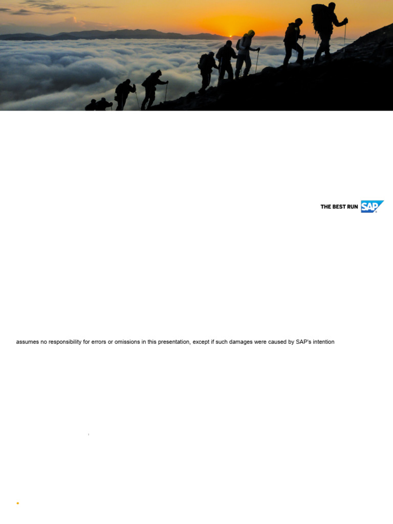 Ibp Sap Ibp Mte Excel Webinar 06 2019 | PDF | Microsoft Excel | Visual Basic For Applications