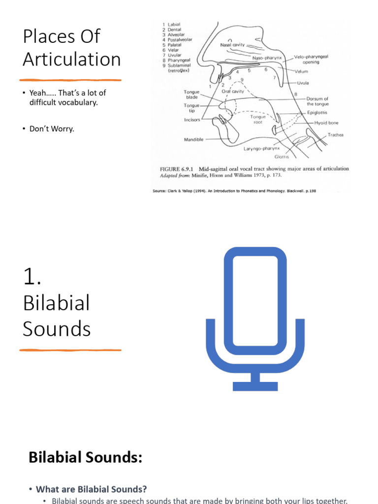 Types of Speech Sounds Explained | PDF | Phonetics | Human Voice
