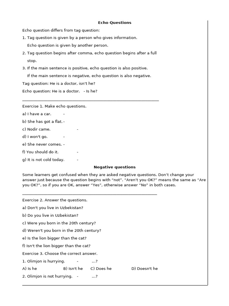 Echo Questions: Exercises and Examples | PDF | Question | Chess Theory