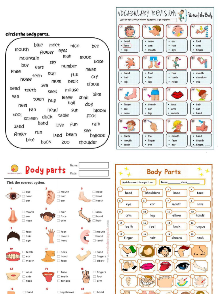 LKPD Part of Body | PDF