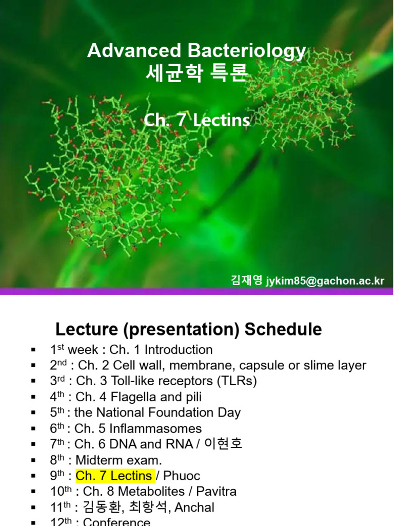 Understanding Lectins in Bacteriology | PDF | Nutrients | Proteins