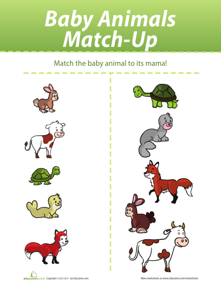 Baby Animal Match Up | PDF