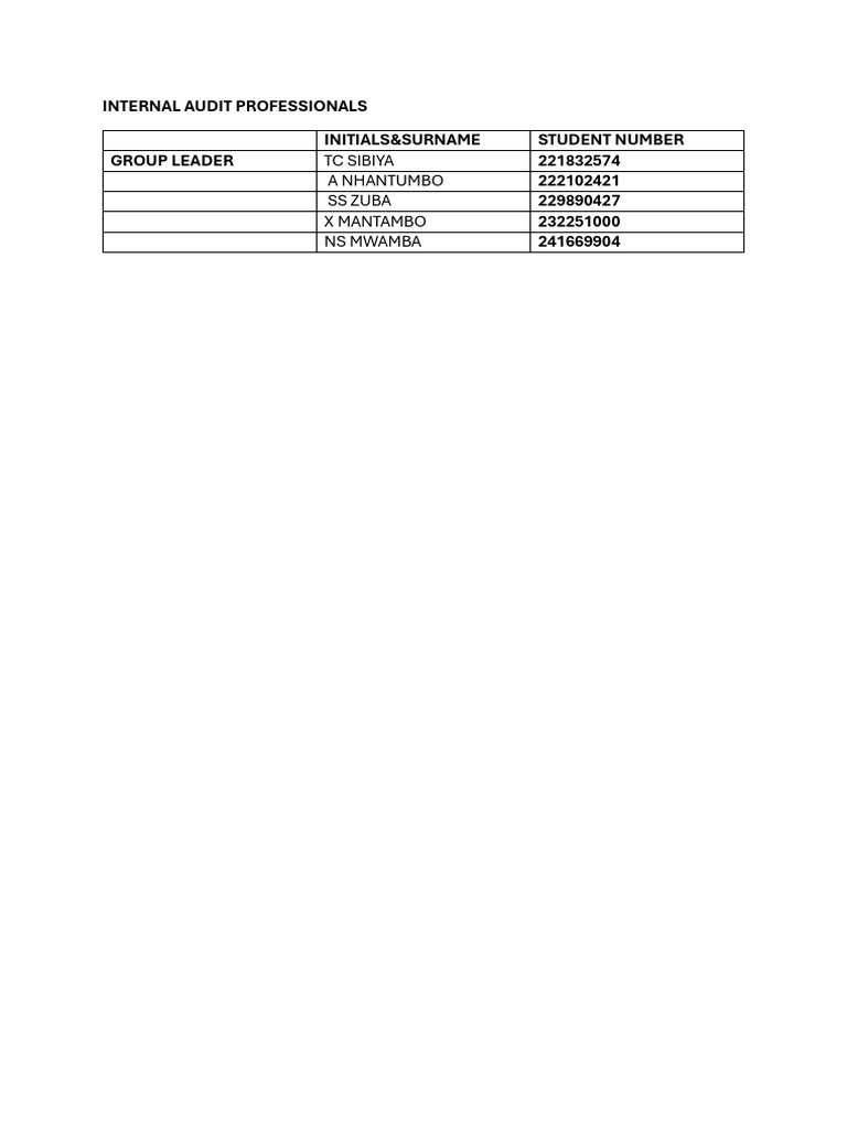 Internal Audit Team Members List | PDF