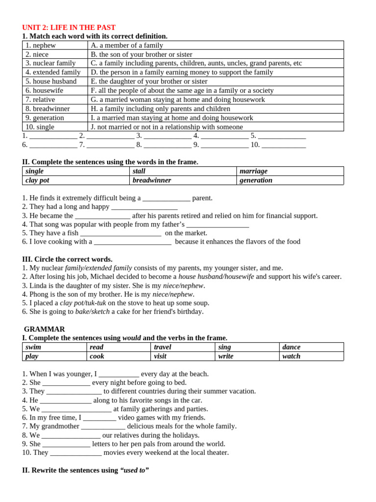 Understanding Family Terms and Past Activities | PDF