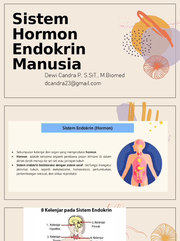 Sistem Hormon Manusia | PDF