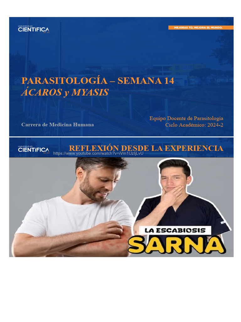 Arteria Pudenda Interna Ramas - Google Search 3 | PDF