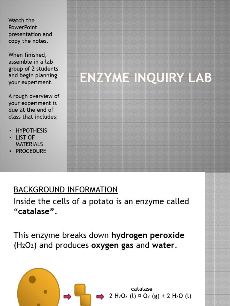 Catalase Enzyme Lab - 2021 | PDF | Catalase | Hydrogen Peroxide