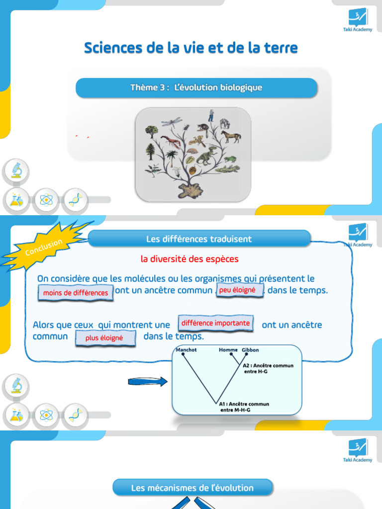 65ac58e23d005 - Mécanisme de L'évolution La Sélection Naturelle | PDF