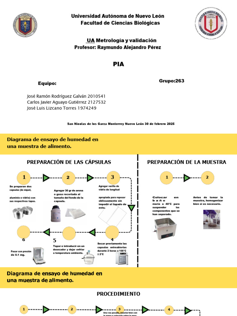 Pia Final, Grupo 263 | PDF | Calibración | Balanza