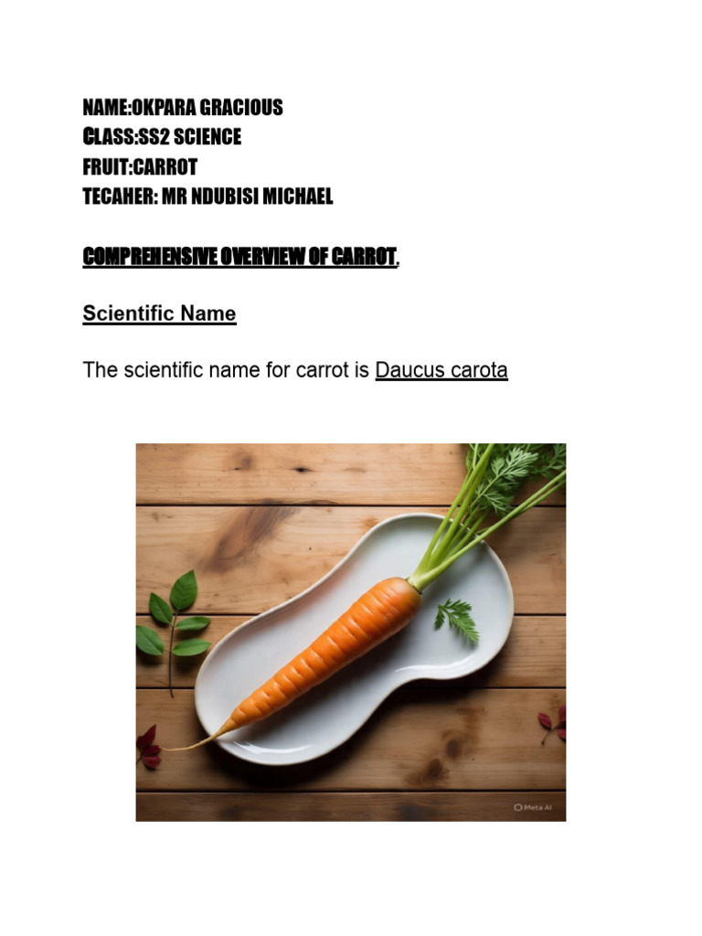 Comprehensive Overview of Carrot | PDF