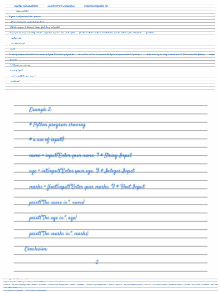 Handwritten Document | PDF