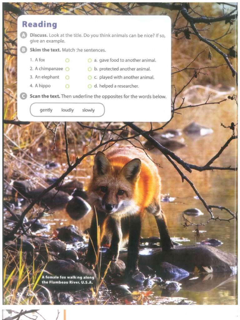 Time Zones 3 - Second Edition - Student Book-Pages | PDF