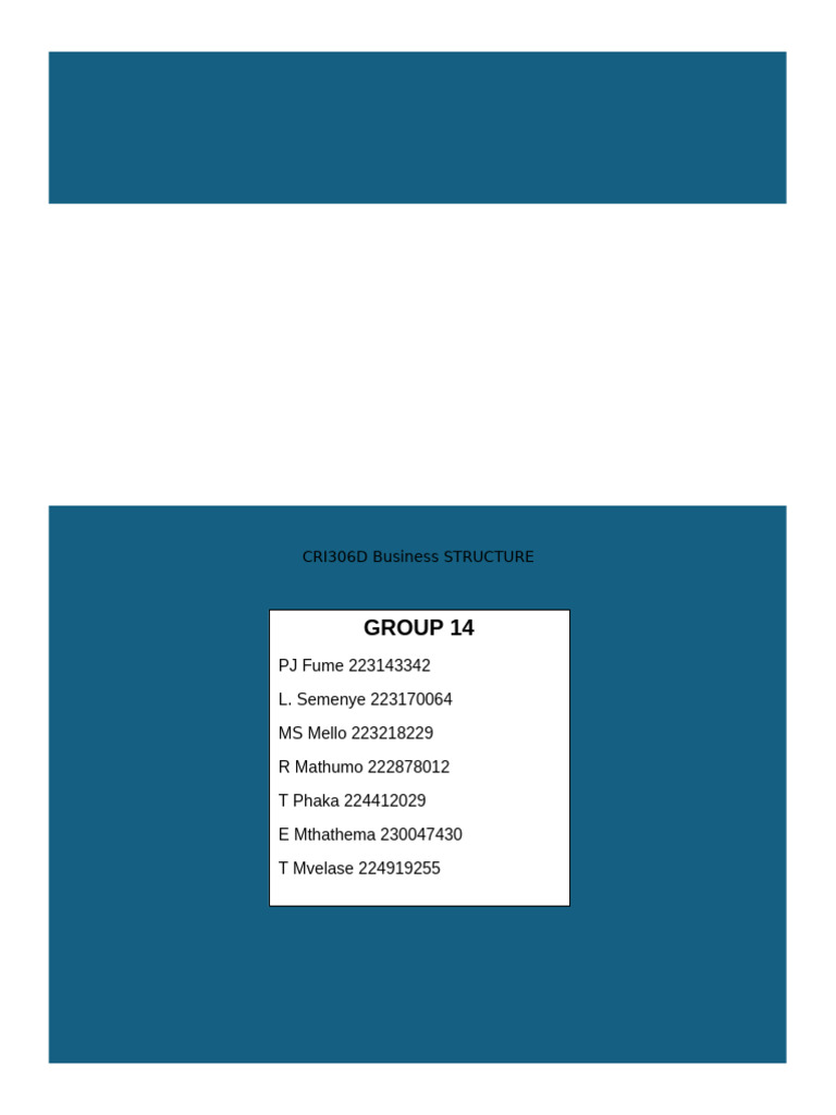 Group 14 CRI306D Business Plan | PDF | Partnership | Brand