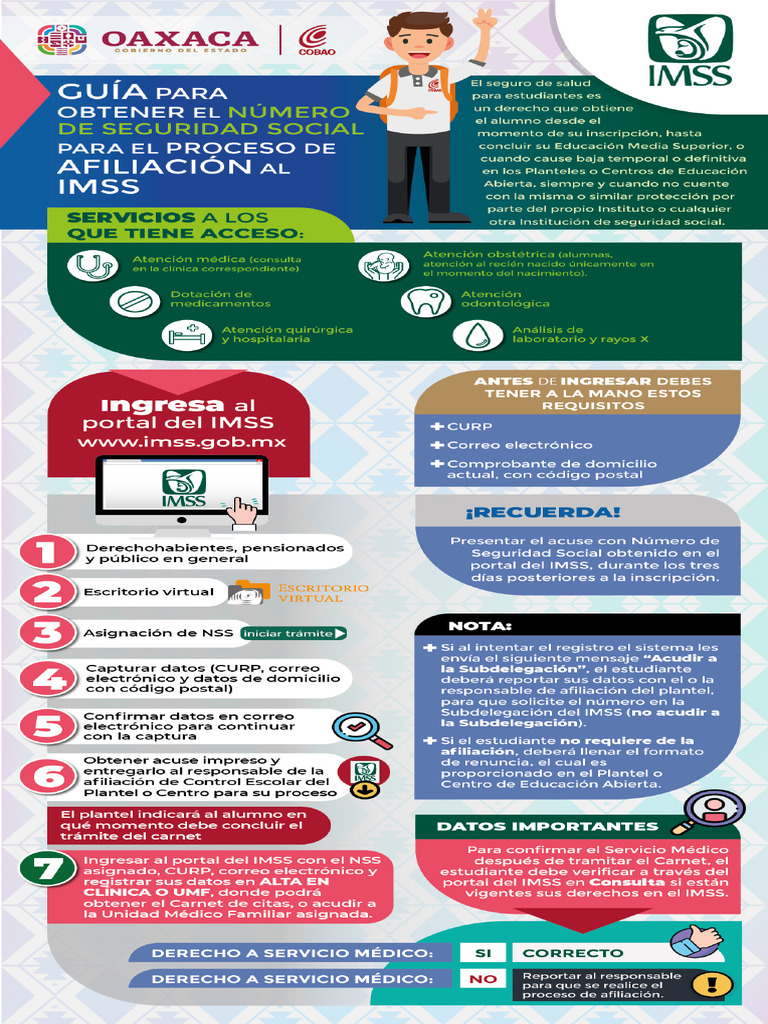 IMSS | PDF