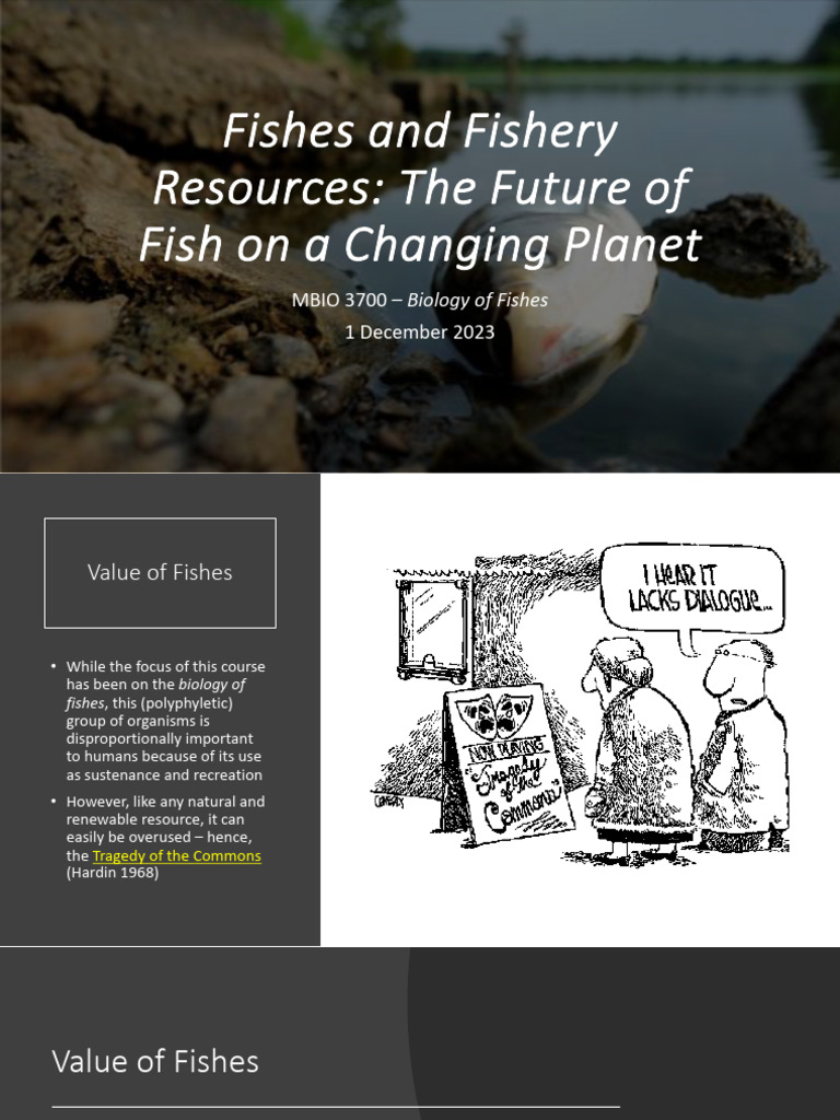 Future of Fisheries and Aquaculture | PDF | Fish And Humans | Fish