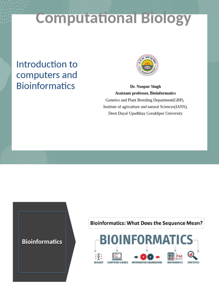 Computers and Bioinformatics | PDF | Computer Network | World Wide Web
