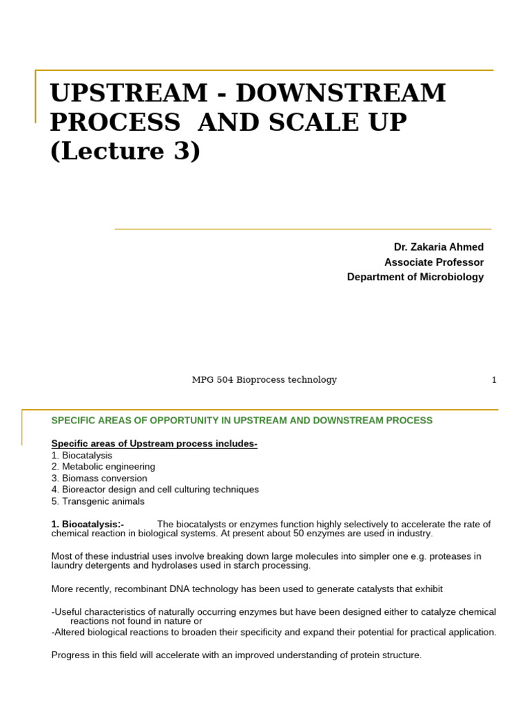 Bioprocess Technology: Upstream & Downstream | PDF | Enzyme | Metabolism
