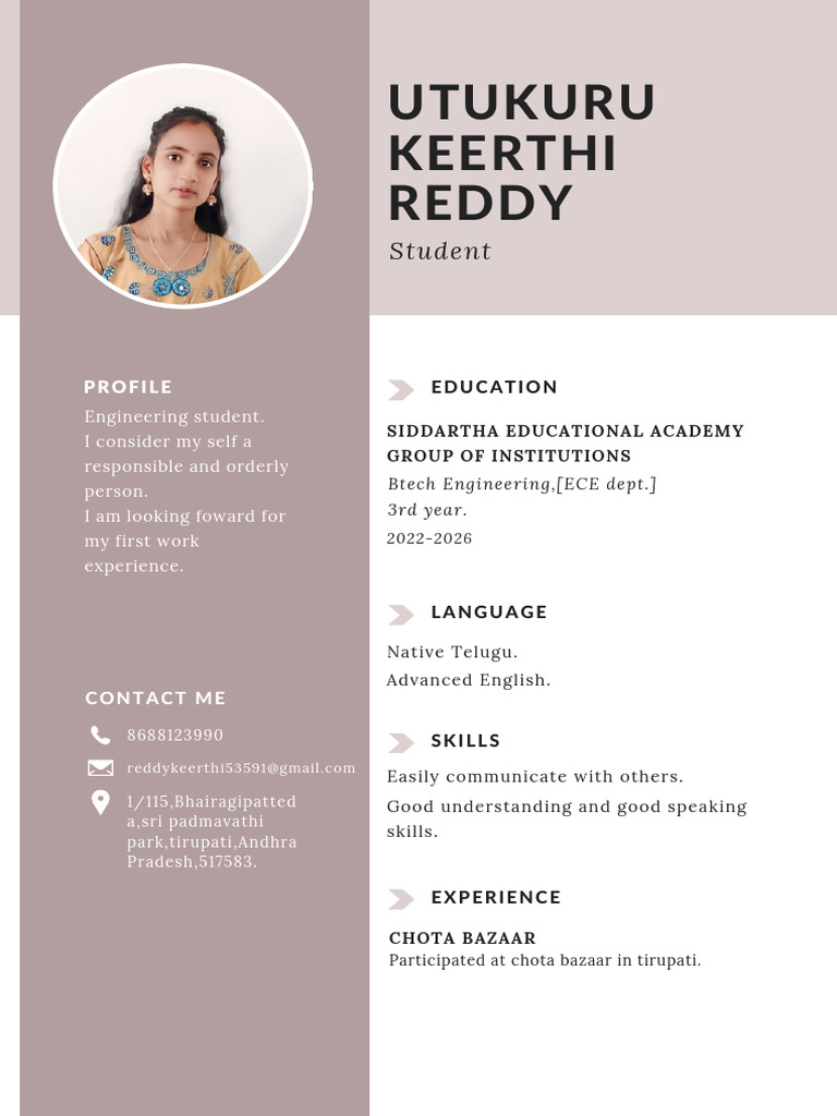 Engineering Student Profile and Skills | PDF