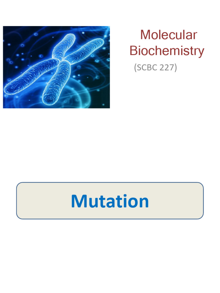 Mutation Part 4 | PDF | Genetic Code | Mutation