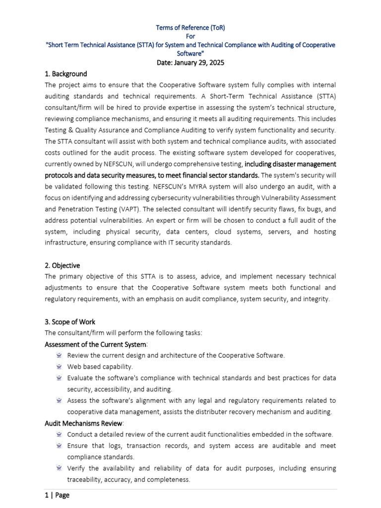 ToR-for-System-Audit | PDF | Computer Security | Security